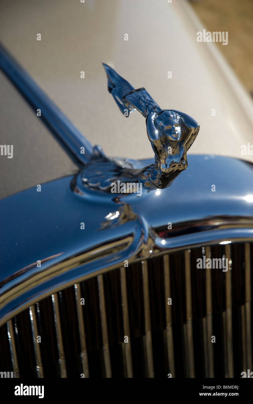 A "mermaid" hood ornament on an old car at a car show Stock Photo - Alamy