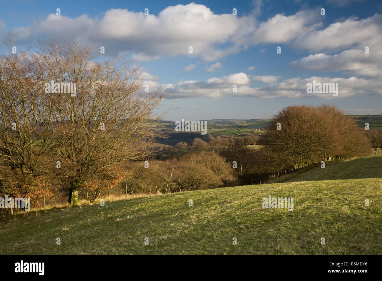 River avill hi-res stock photography and images - Alamy