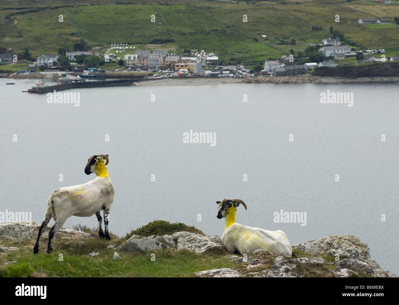 The small port of Cleggan Connemara Ireland Stock Photo - Alamy
