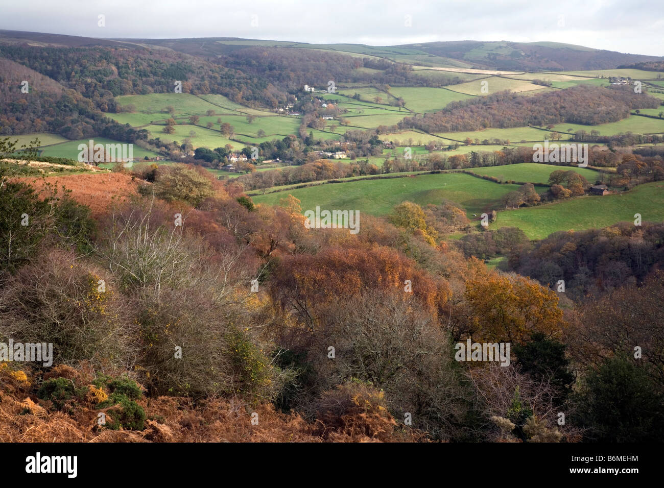 Selworthy and the Holnicote estate viewed from Horner woods, Exmoor ...