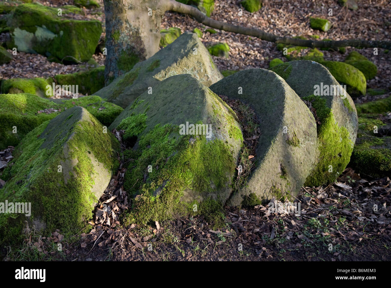 Pulpstone hi-res stock photography and images - Alamy