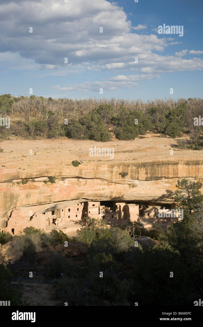 Spruce Tree House, Mesa Verde National Park in Colorado, USA Stock ...