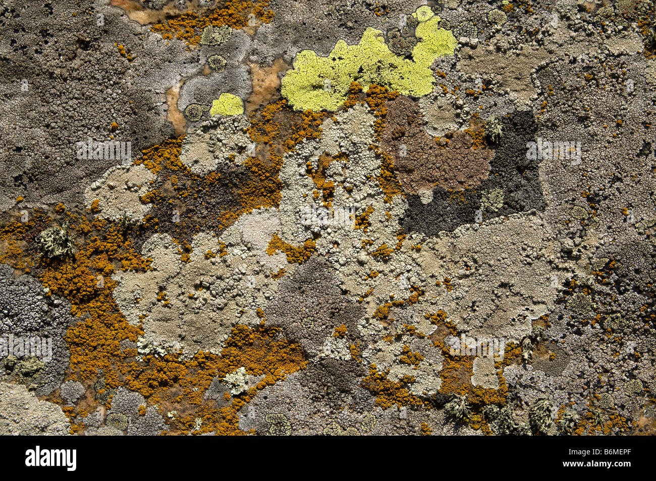 The beautiful figures made by the nature Stock Photo - Alamy