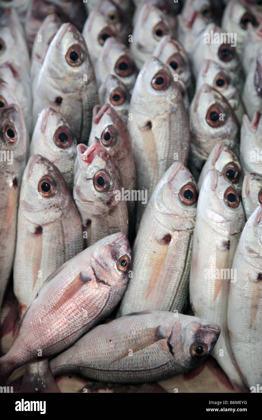 Fish market sicily hi-res stock photography and images - Alamy
