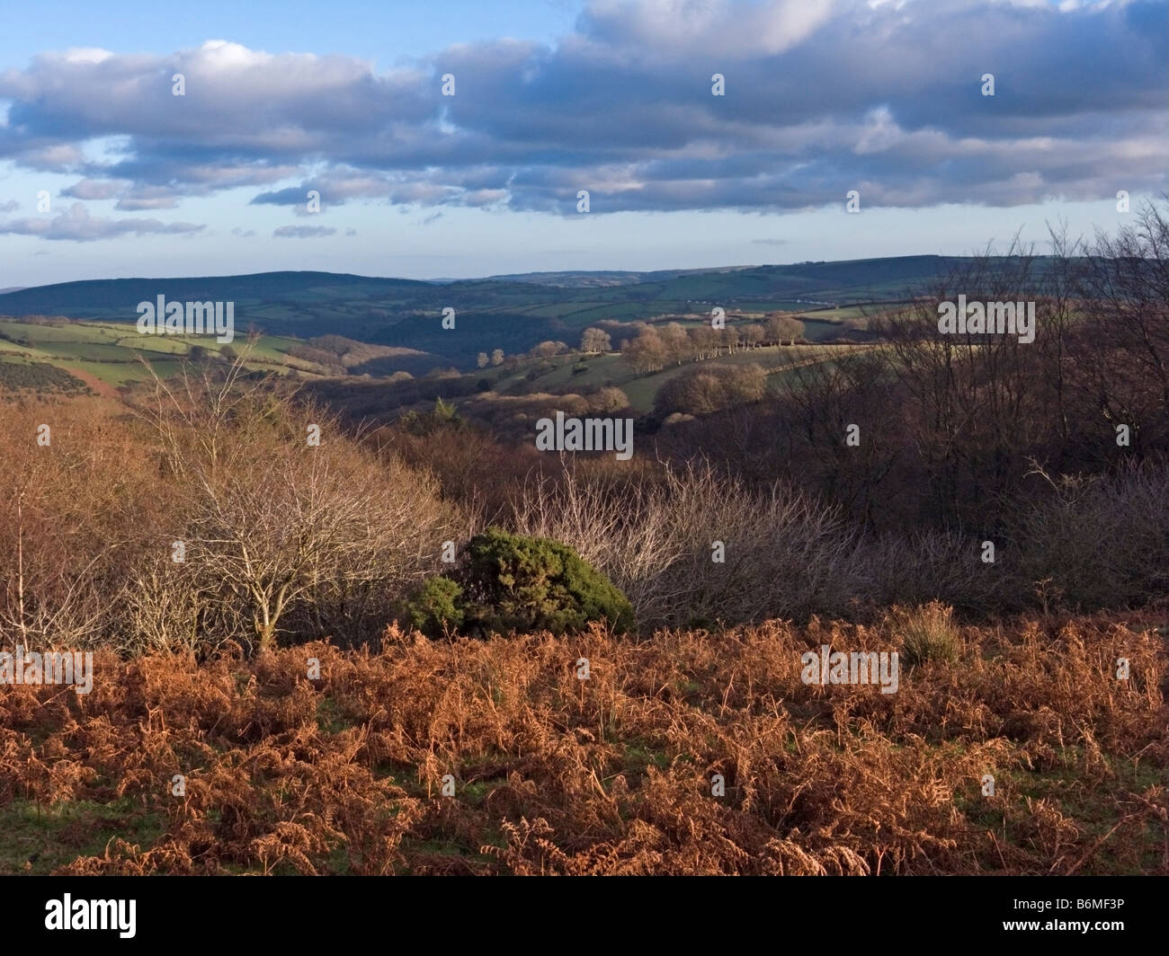 Mansley Combe and the valley of the River Avill from Dunkery Gate on ...