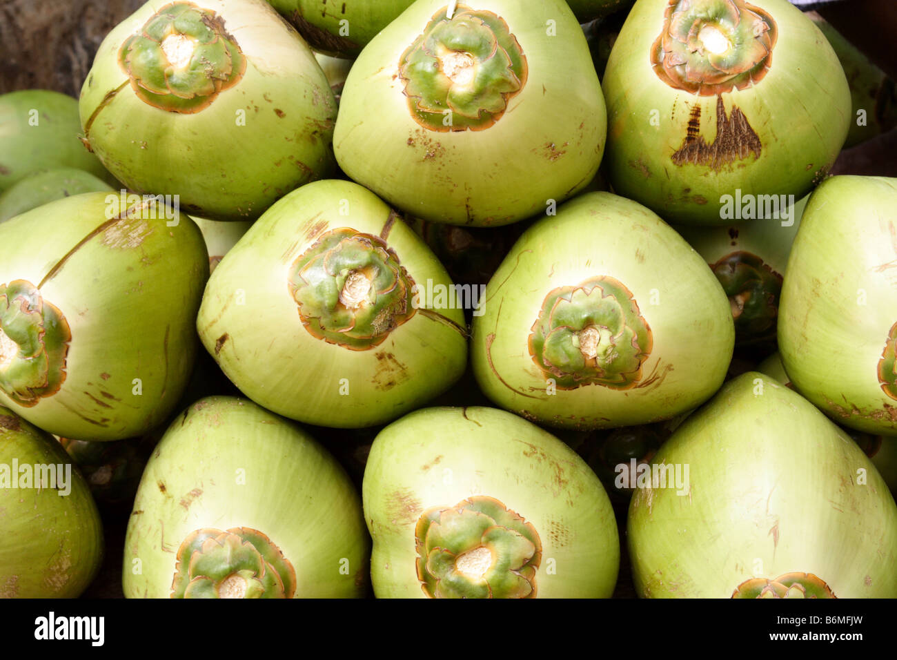 Cocnut hi-res stock photography and images - Alamy