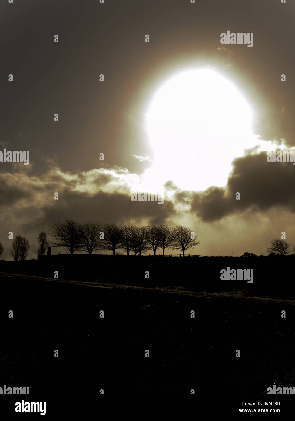 Trees Horizon Silhouette at Sunrise Dawn Stock Photo - Alamy