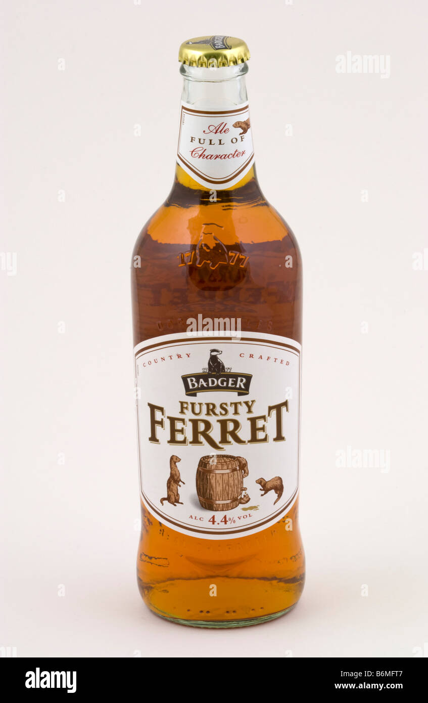 Bottle of Badger Fursty Ferret beer brewed at Hall Woodhouse Blandford ...