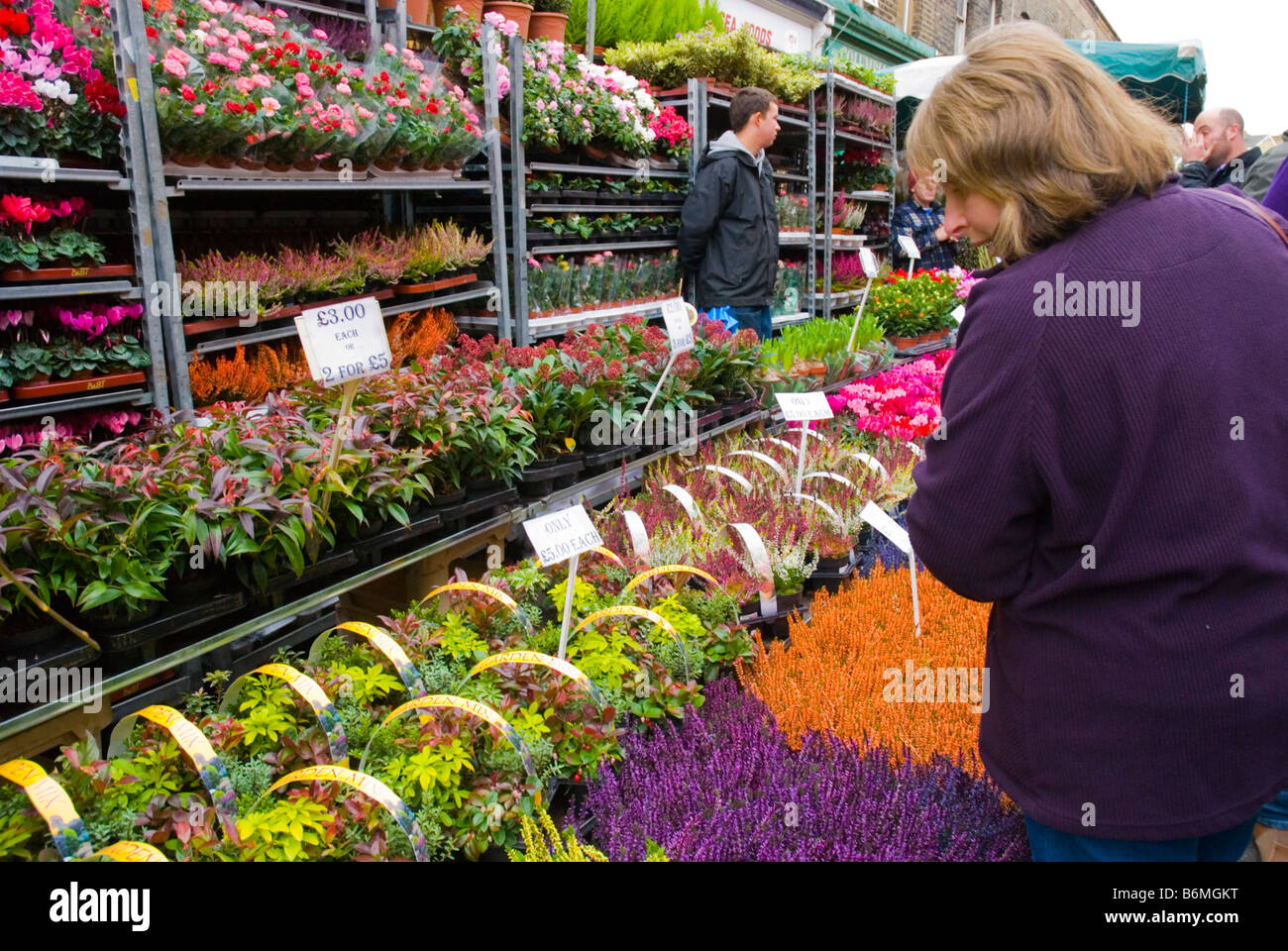 Columbia Road flower market during the Sunday market day in East London ...