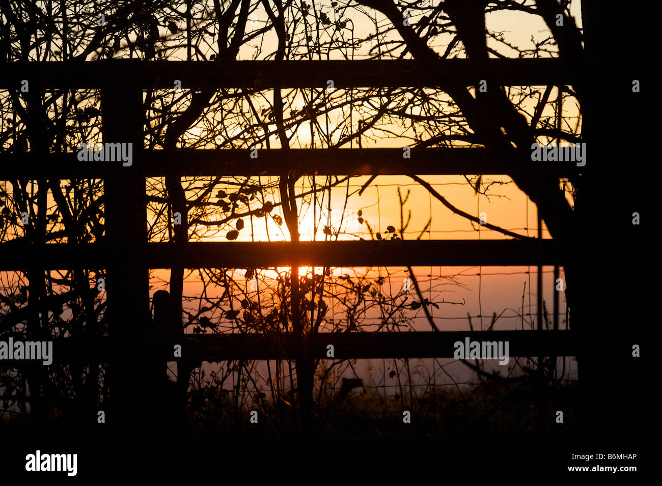 Sunset behind a fence Stock Photo - Alamy