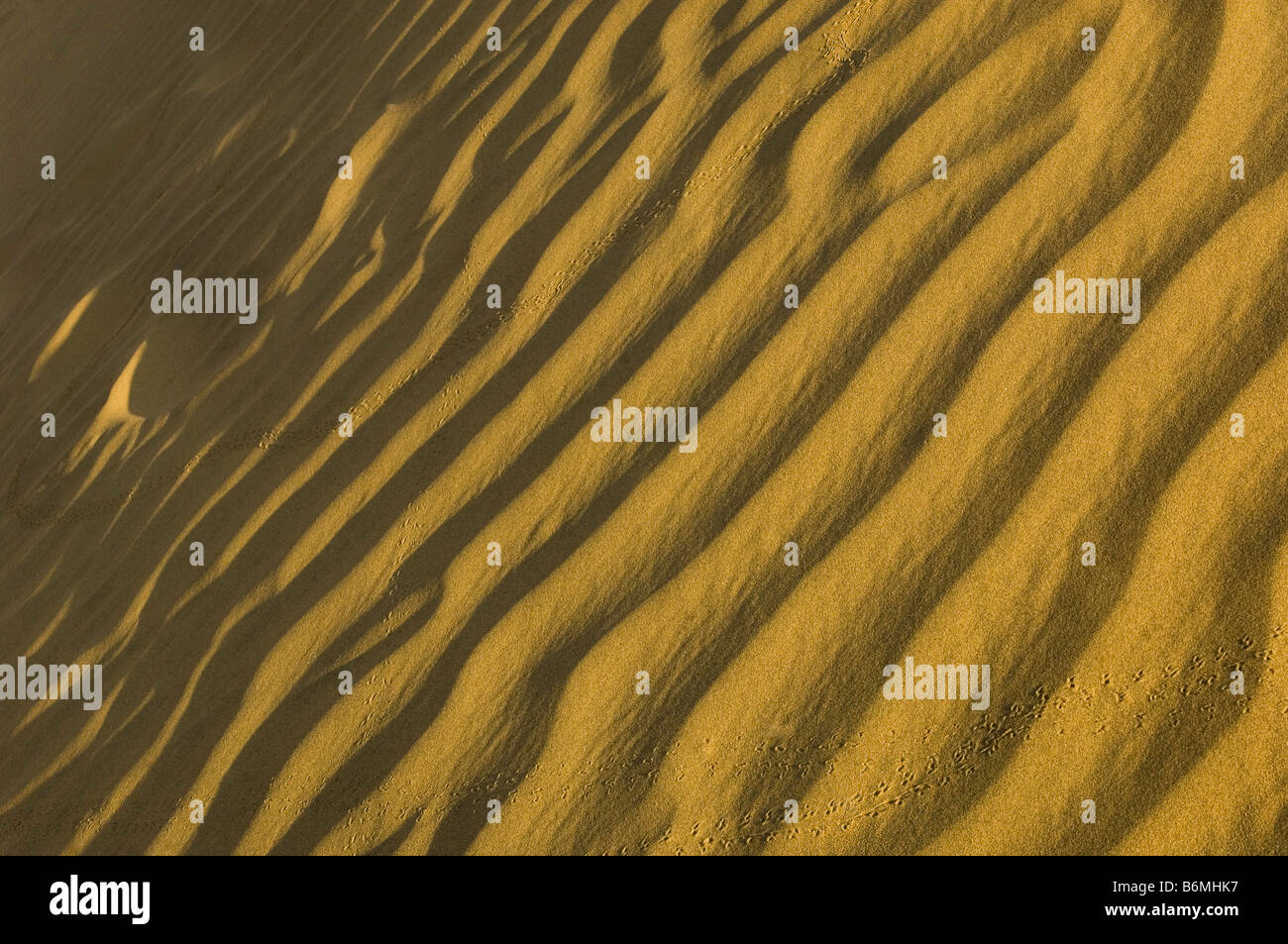 Rippled pattern on a sand dune, Jaisalmer, Rajasthan, India Stock Photo ...