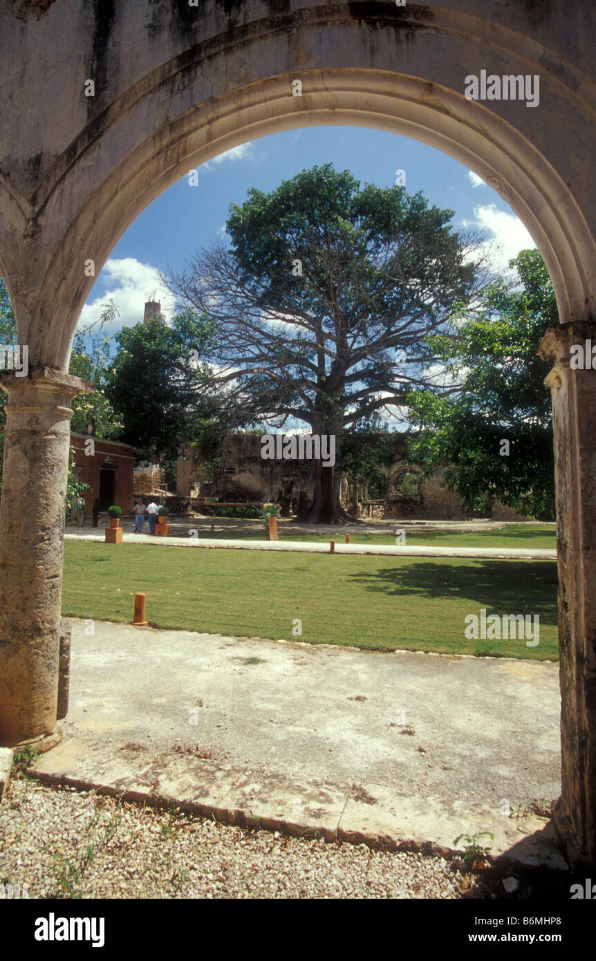 Giant ceiba tree framed by an arch at Hacienda Uaymon, Campeche state ...