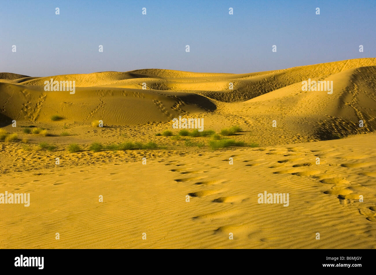 Sand dunes in a desert, Jaisalmer, Rajasthan, India Stock Photo - Alamy