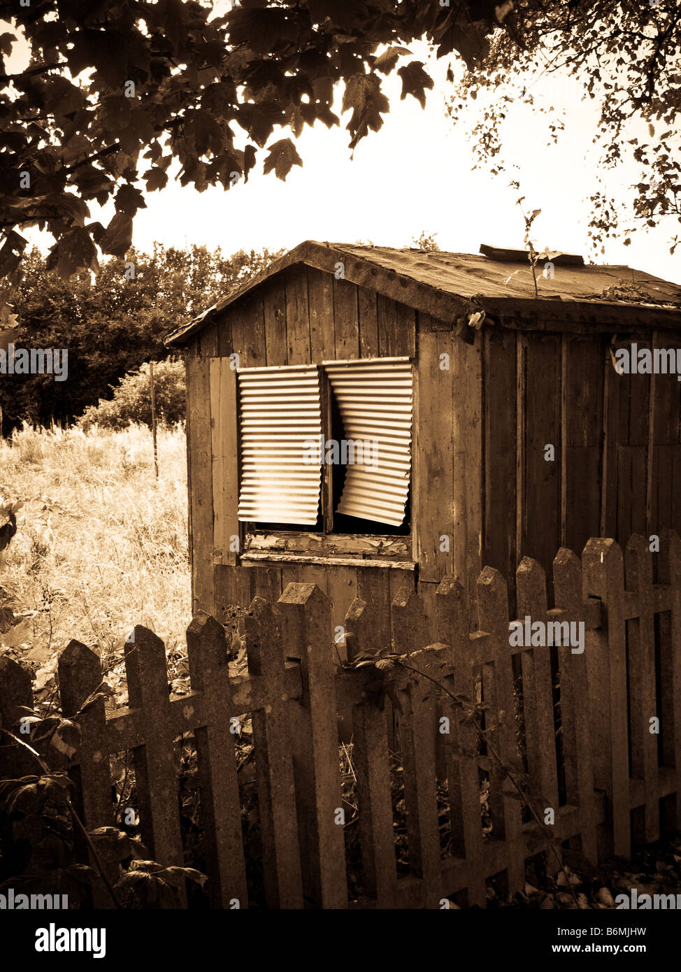 Old Wooden Shed with Corrugated Iron Window Blinds Stock Photo - Alamy