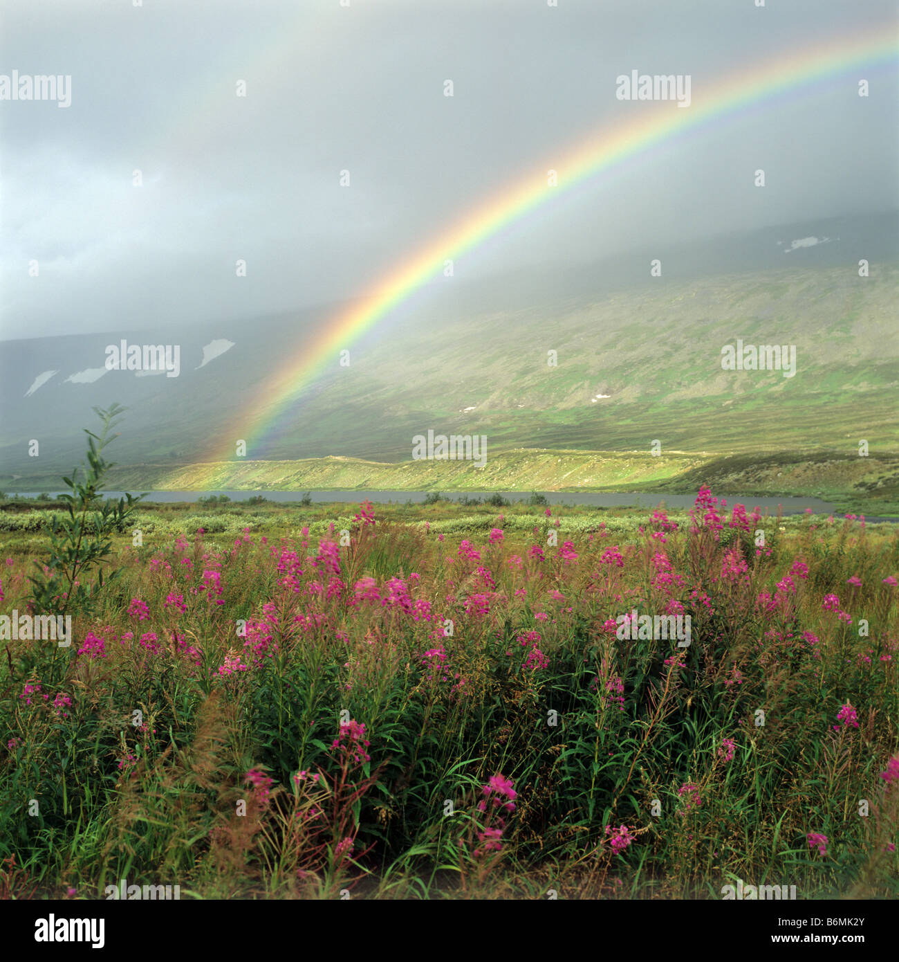 Komi. Polar Urals. Russia Stock Photo - Alamy