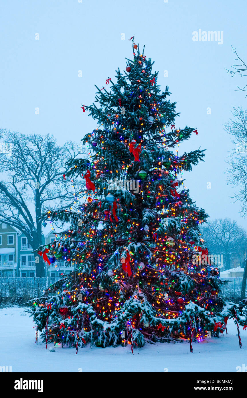 Municipal Christmas Tree High Resolution Stock Photography and Images ...
