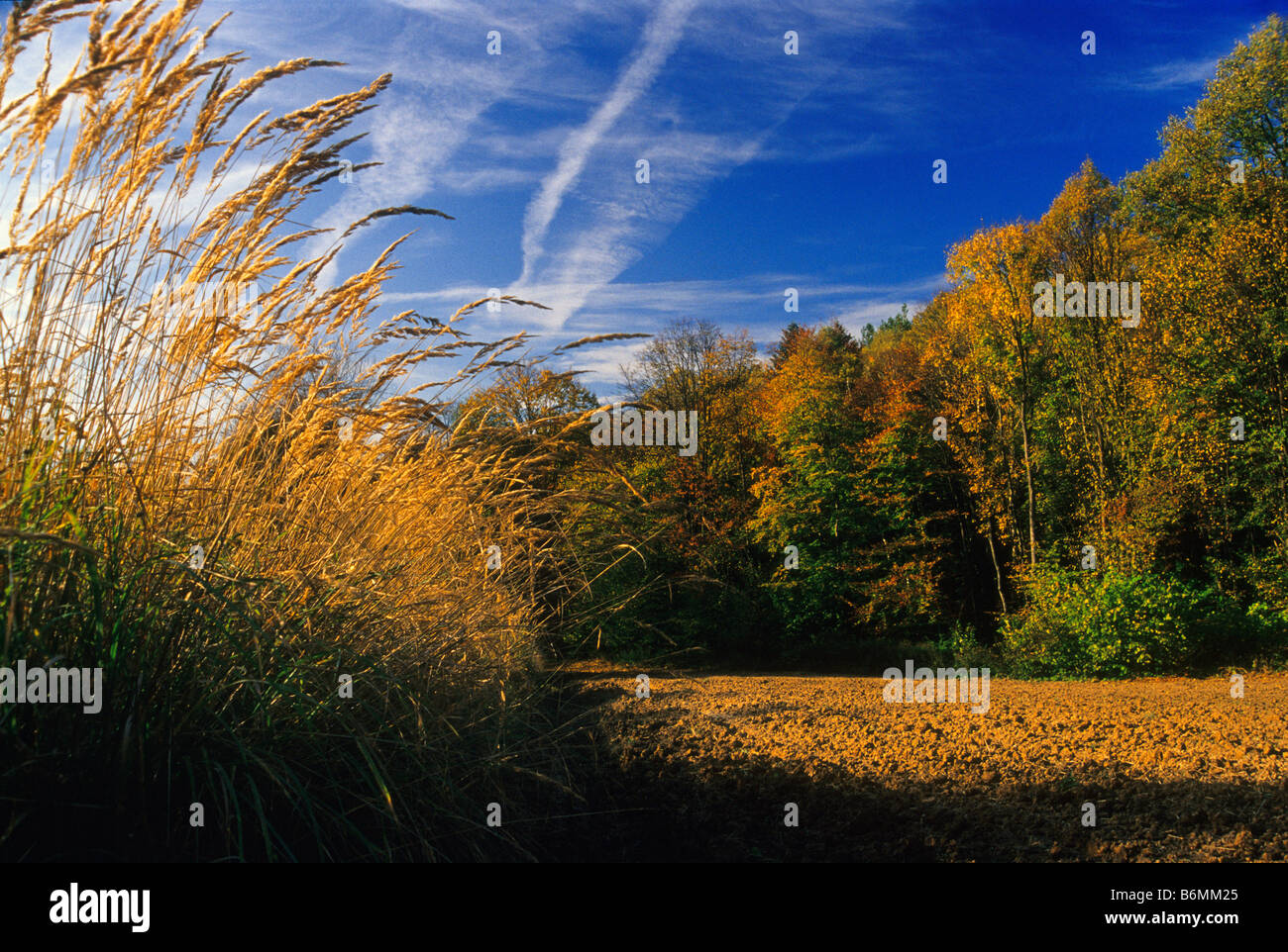 Polish Poland landscape scenery Stock Photo - Alamy