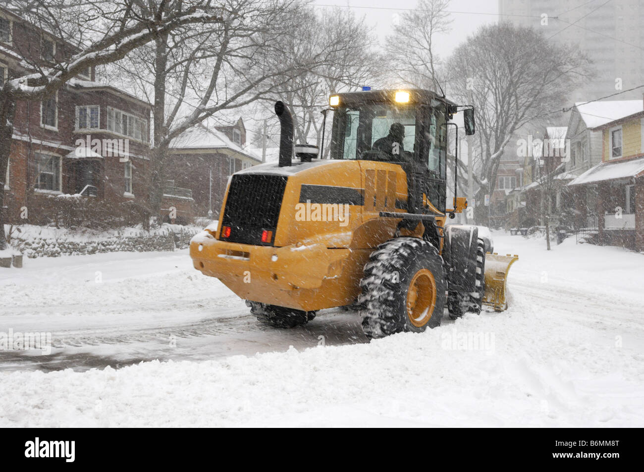 American snow bad hi-res stock photography and images - Alamy