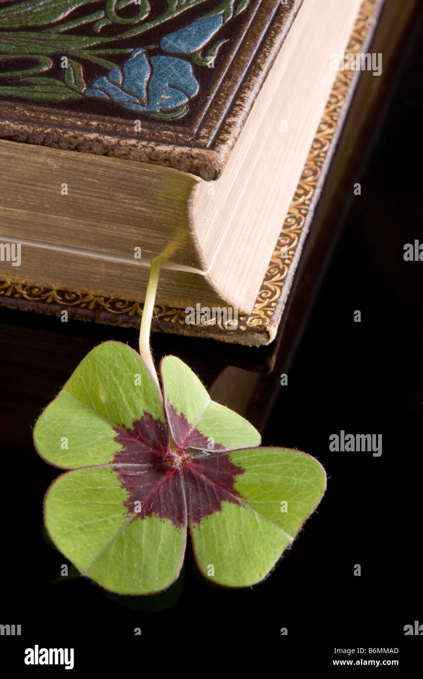 Four leaf clover serving as a book marker in an antique book Stock ...