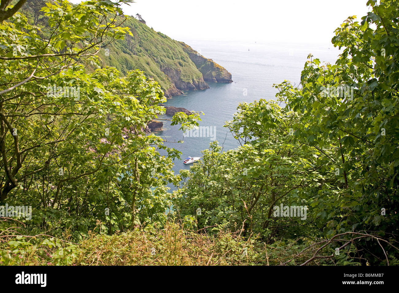 Kingswear coast hi-res stock photography and images - Alamy