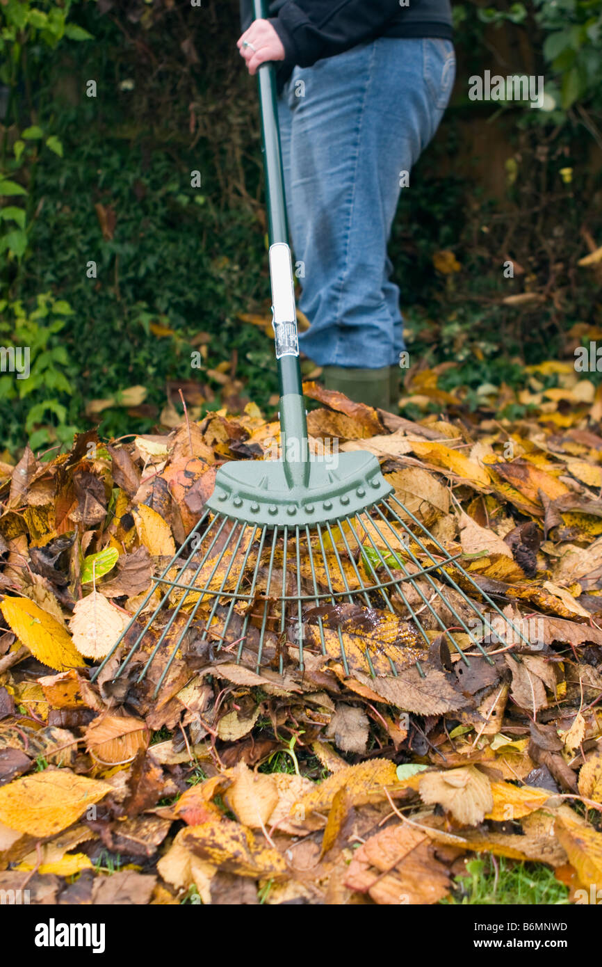 Back yardwork hi-res stock photography and images - Alamy