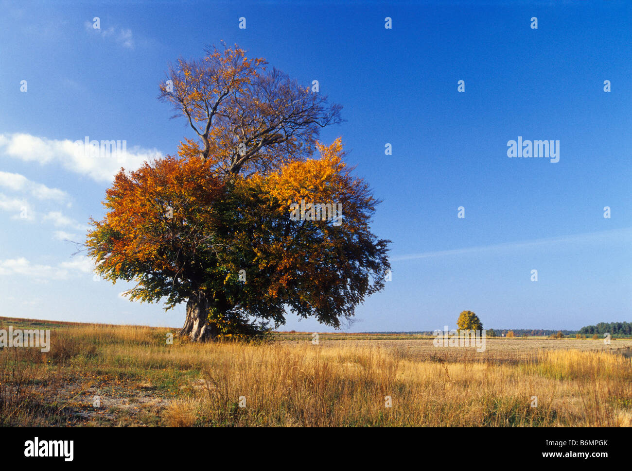 Polish Poland landscape scenery Stock Photo - Alamy