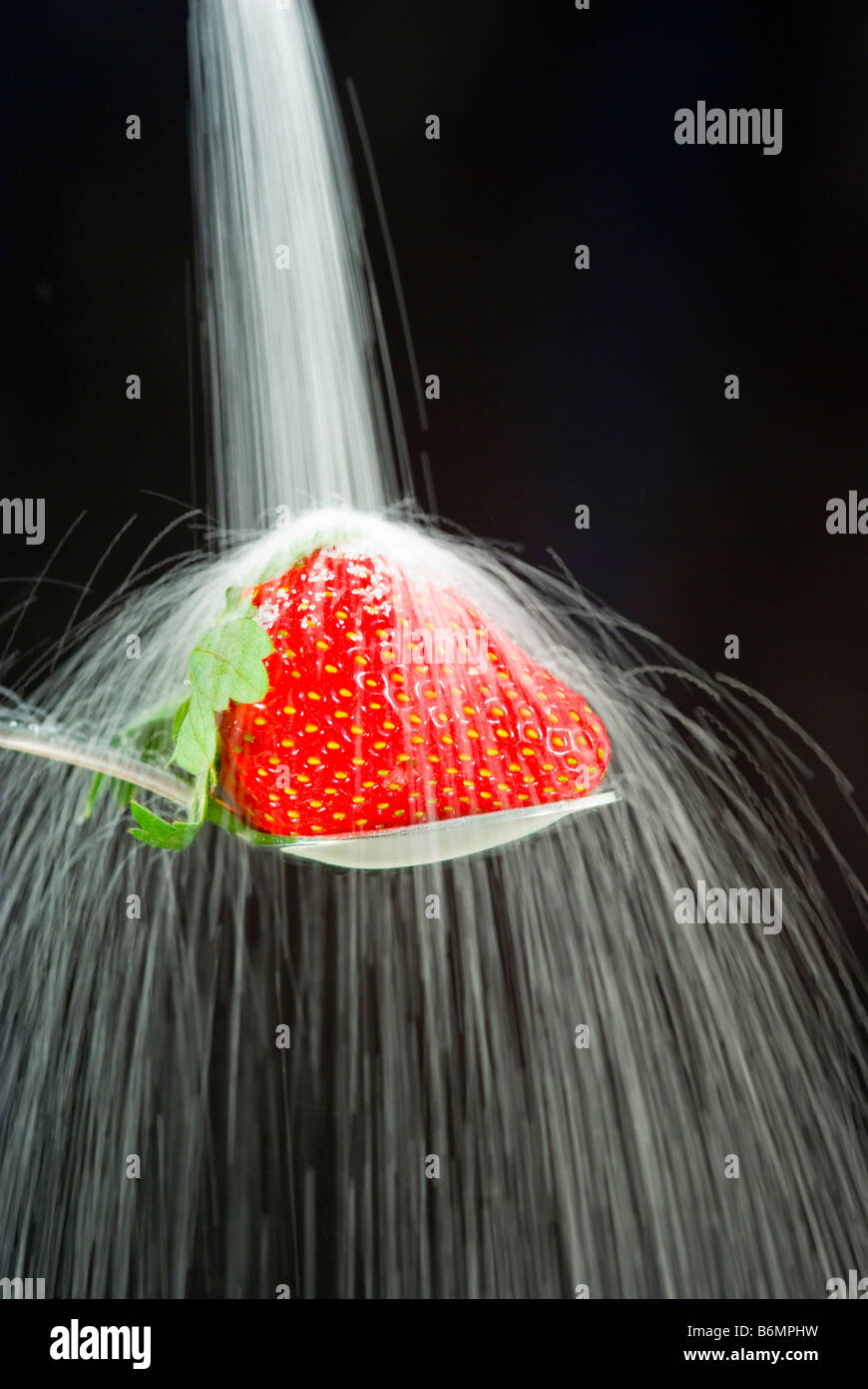 Close up of sugar pouring over a red strawberry Stock Photo - Alamy