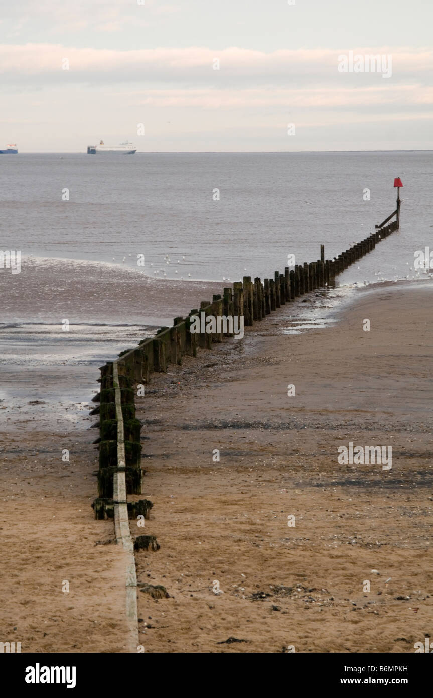 sand soil tidal tide water sea coastal waters wood wooden east coast of ...