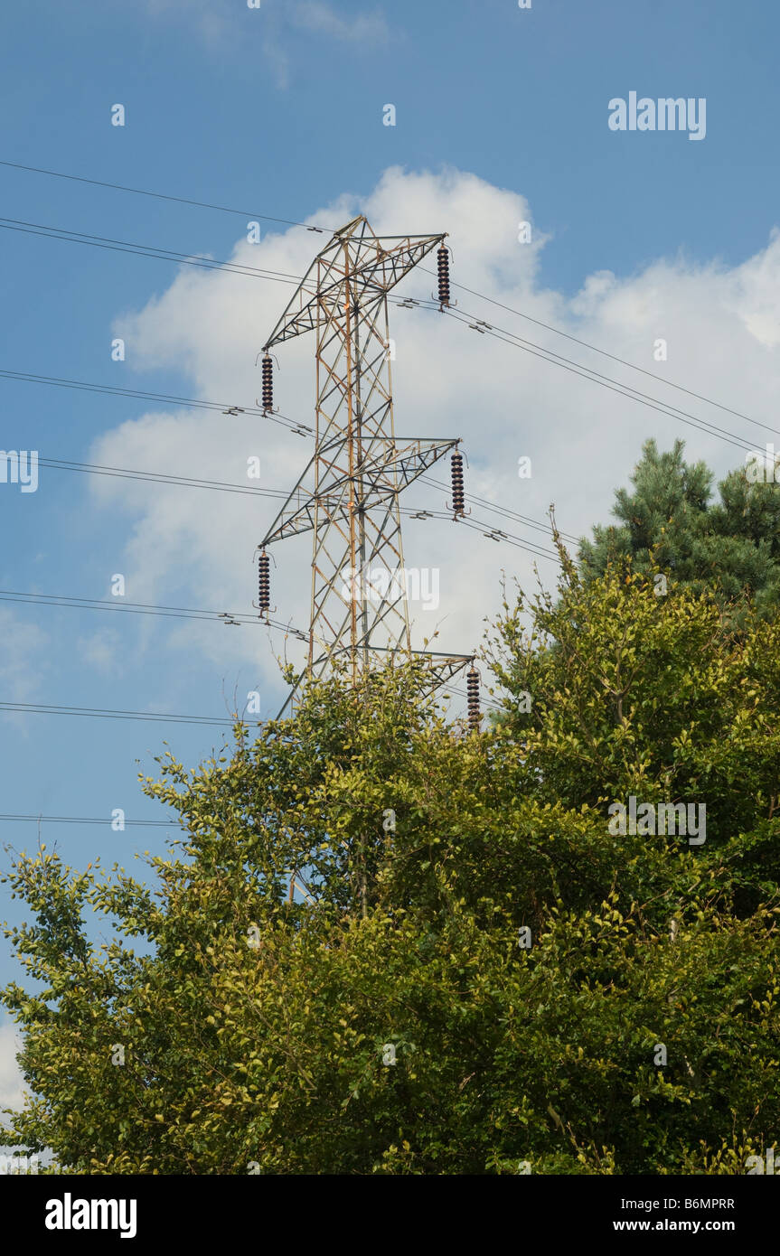 Pylon tree hi-res stock photography and images - Alamy