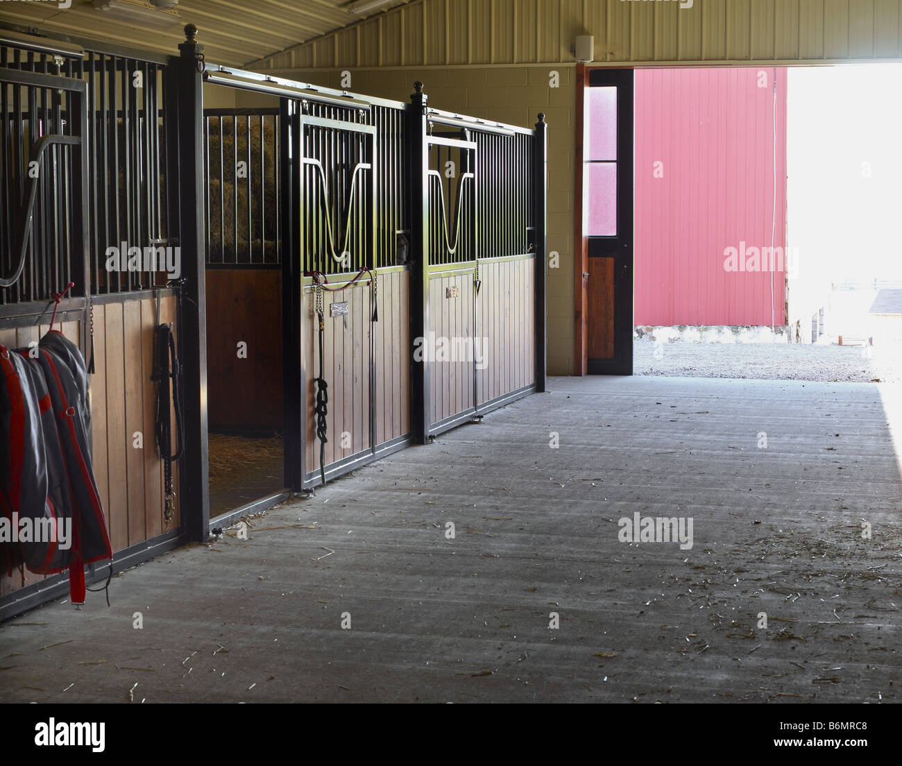 Empty Horse Stalls Stable, USA Stock Photo - Alamy