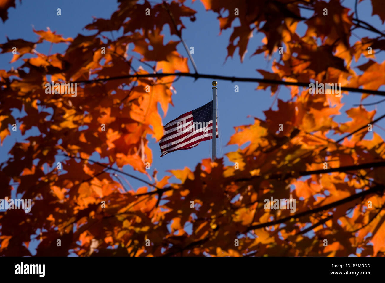 Fall stars and stripes hi-res stock photography and images - Alamy