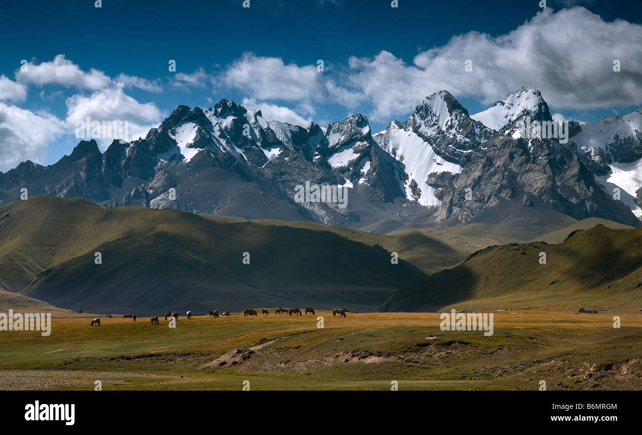 landscape of central Asia, mountains, horses Stock Photo - Alamy