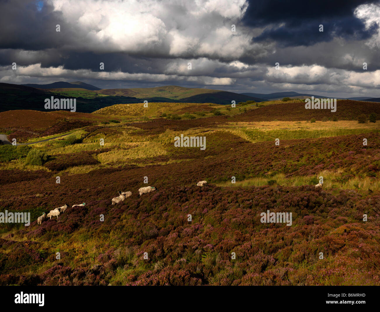 Gortin ireland hi-res stock photography and images - Alamy