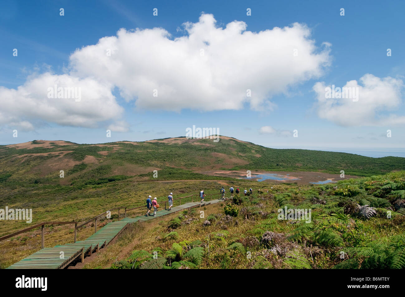 Galápagos Galapagos Island nature LAGUNA EL JUNCO highlands guave guava ...