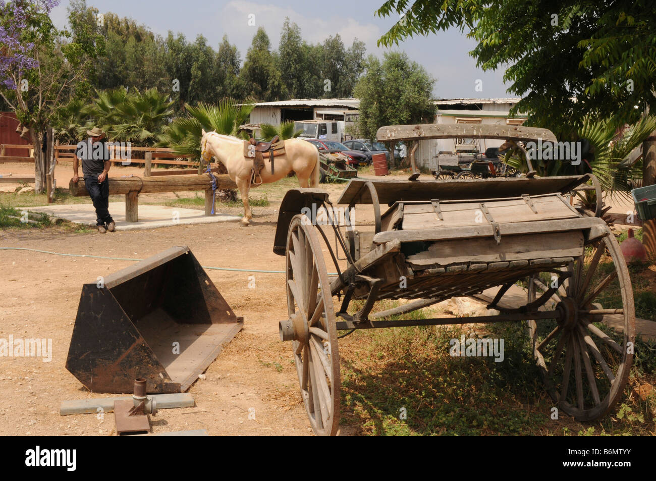 Israel Golan Heights Horse ranch Stock Photo - Alamy
