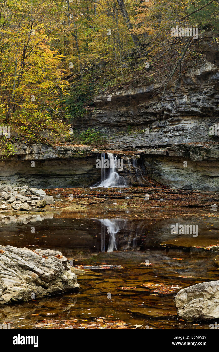 Autumn Color Surrounding Waterfall on McCormick s Creek in McCormick s ...