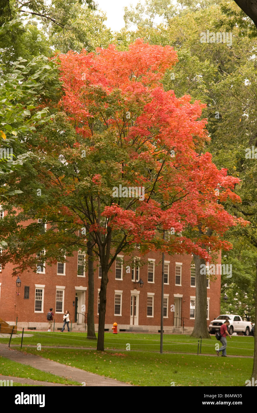 Fall Foliage in Harvard Yard Harvard University Cambridge MA ...