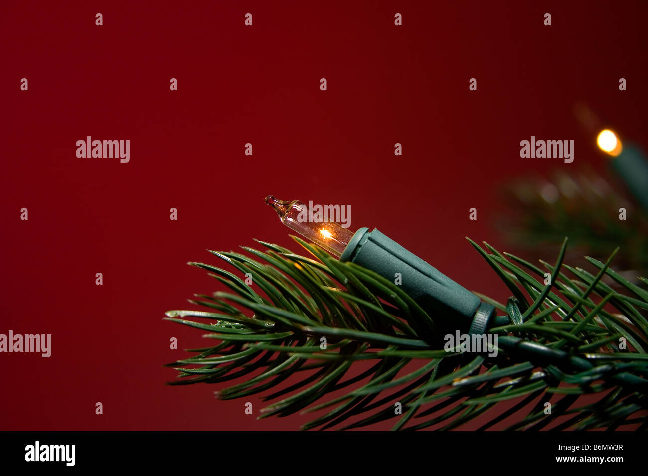 A single white Christmas light as it sits on an artificial Christmas ...