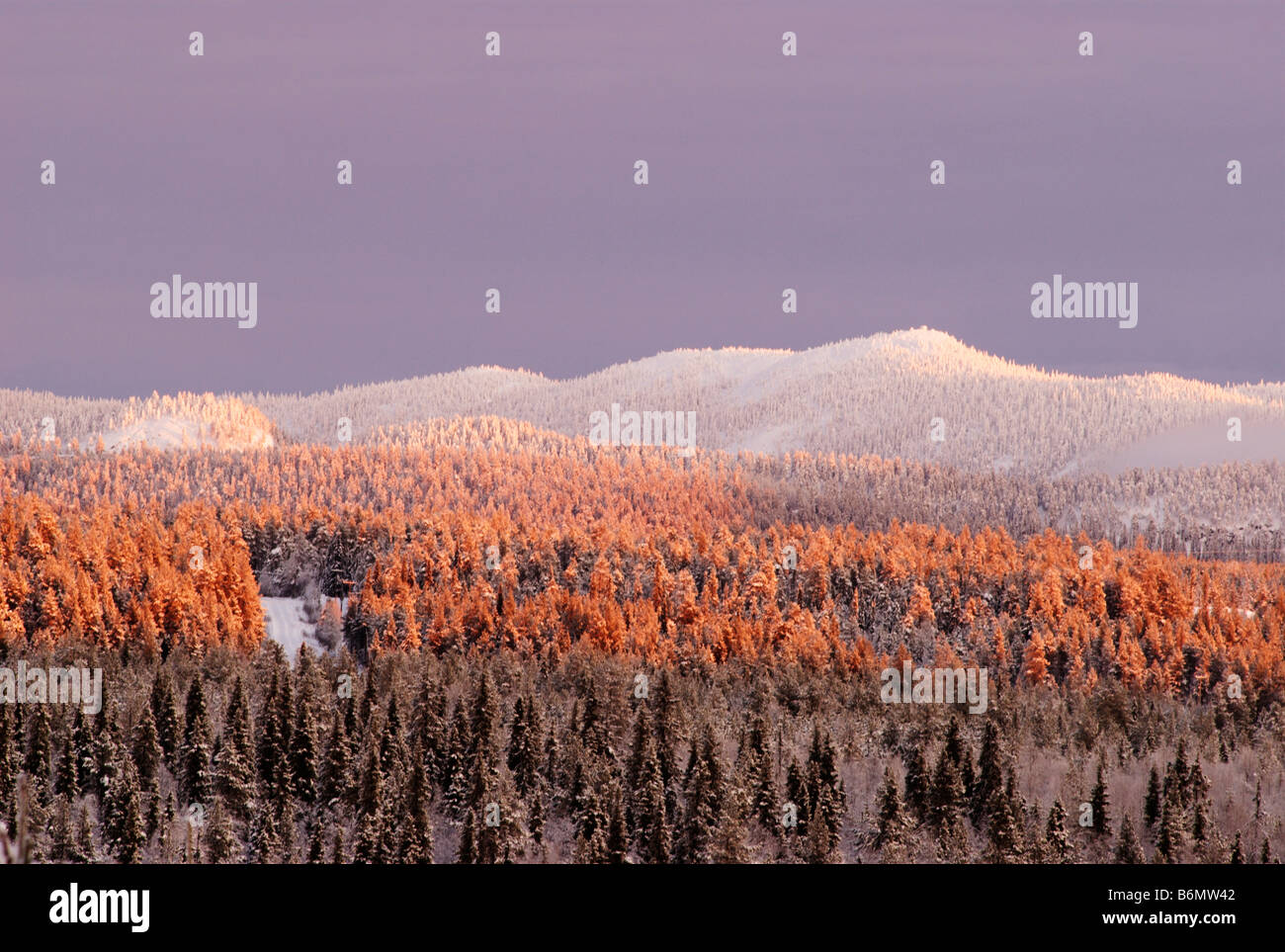 Lapland lappland hi-res stock photography and images - Alamy