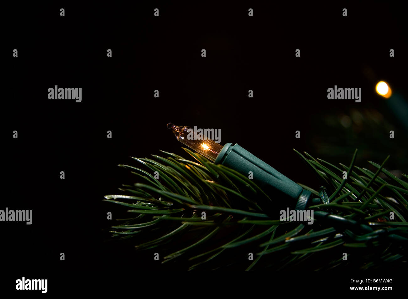 A single white Christmas light as it sits on an artificial Christmas ...