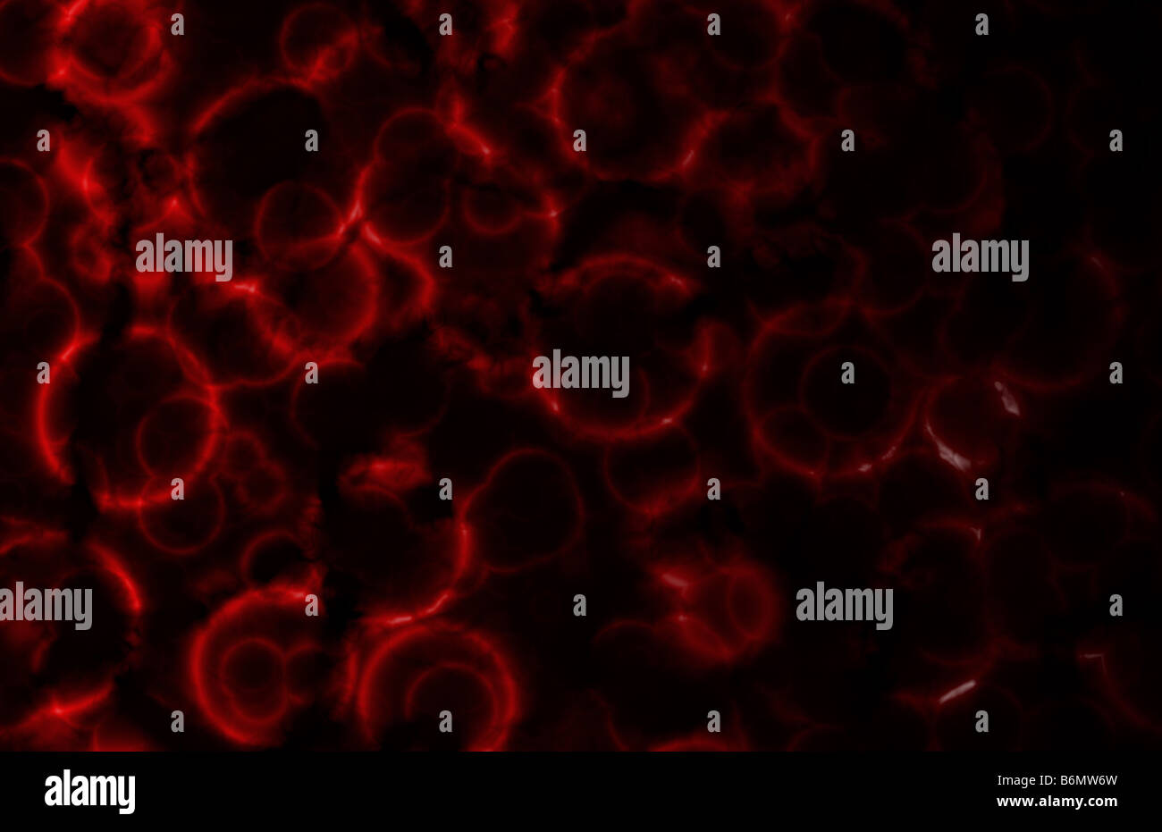 Red Blood Cells Flowing in an Abstract Stock Photo - Alamy