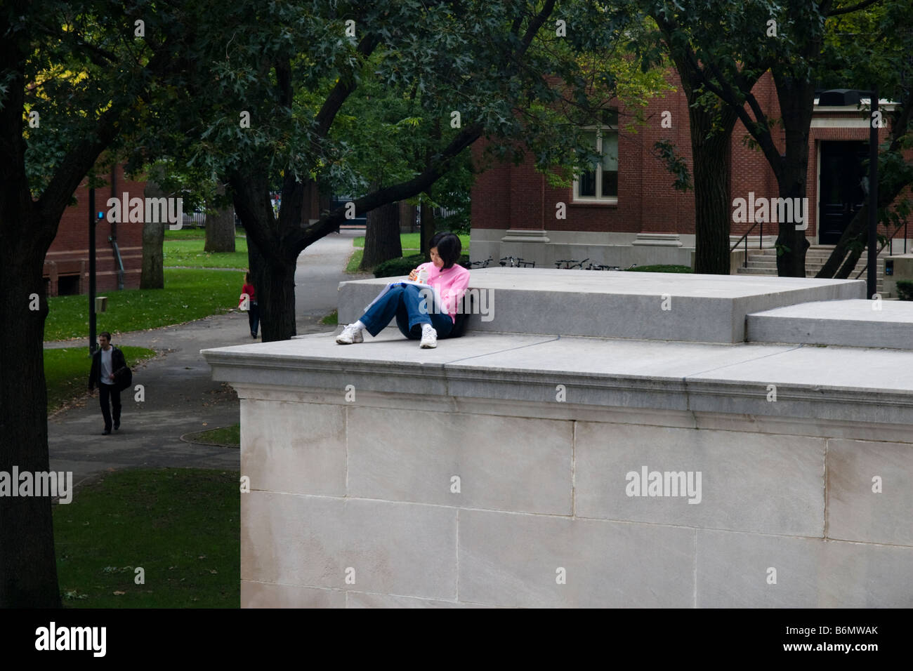 Student studying outside the library Harvard Yard Harvard University ...