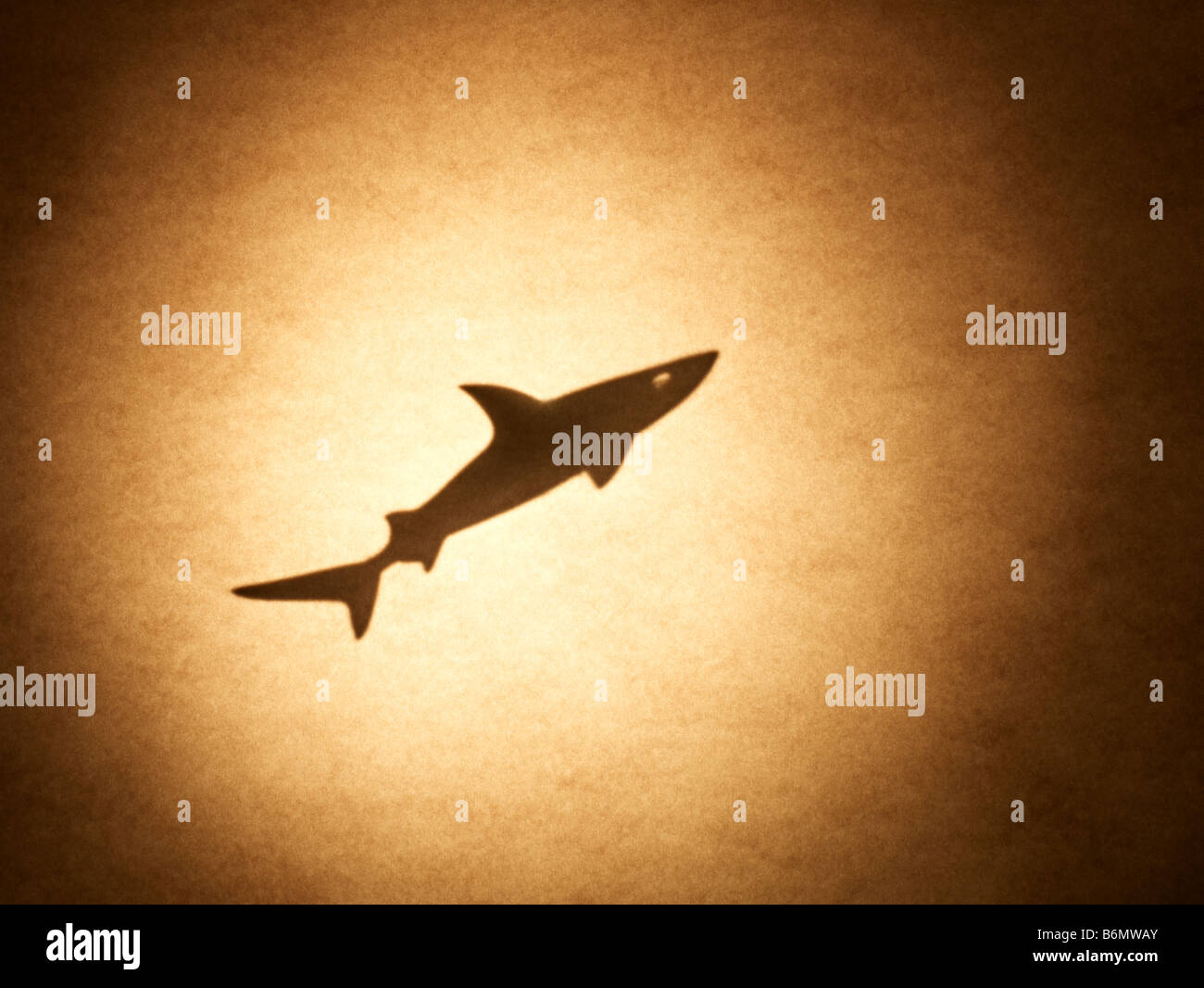 Shark silhouette hi-res stock photography and images - Alamy