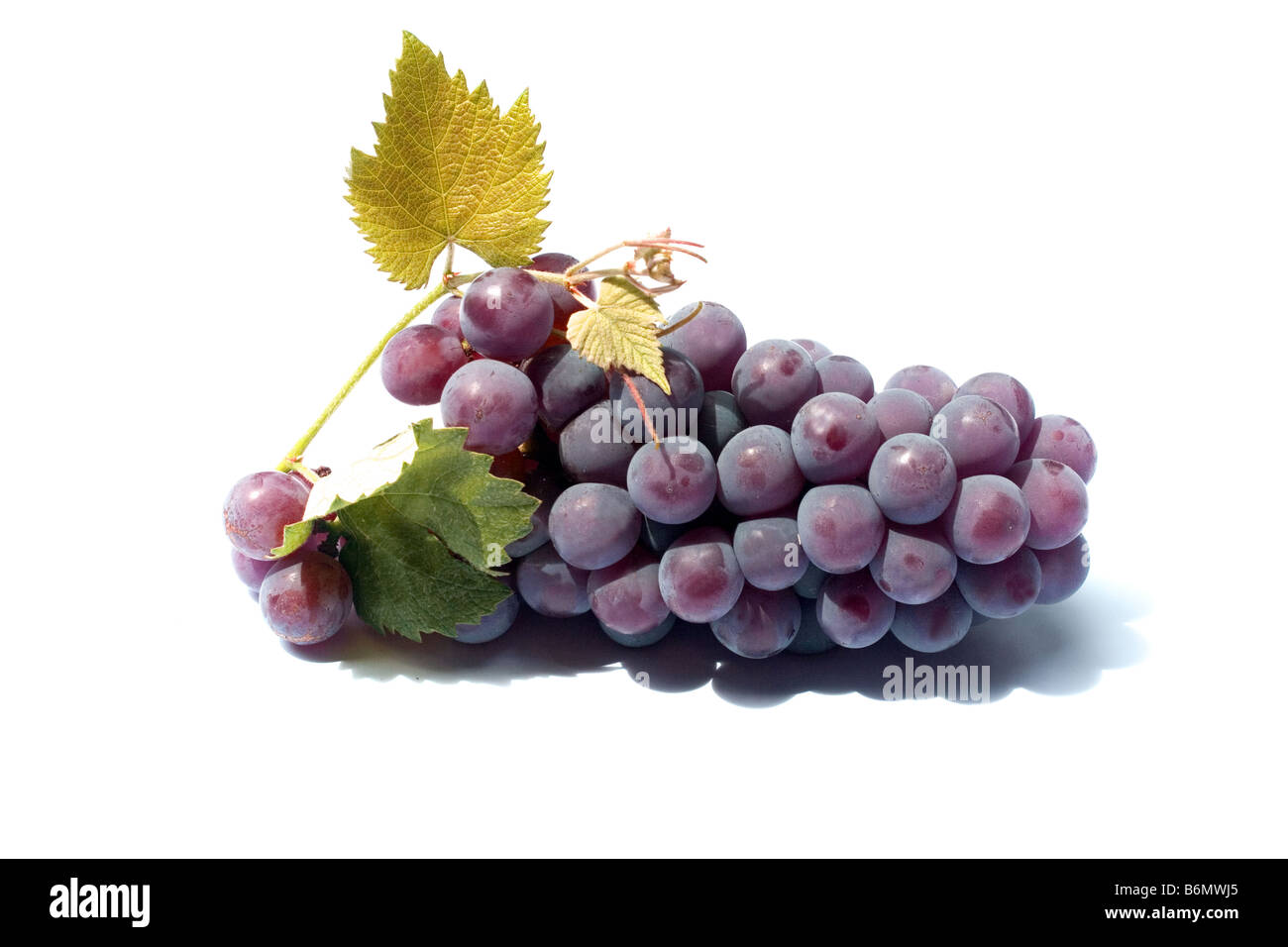 Bunch white grapes cut out leaf hi-res stock photography and images - Alamy