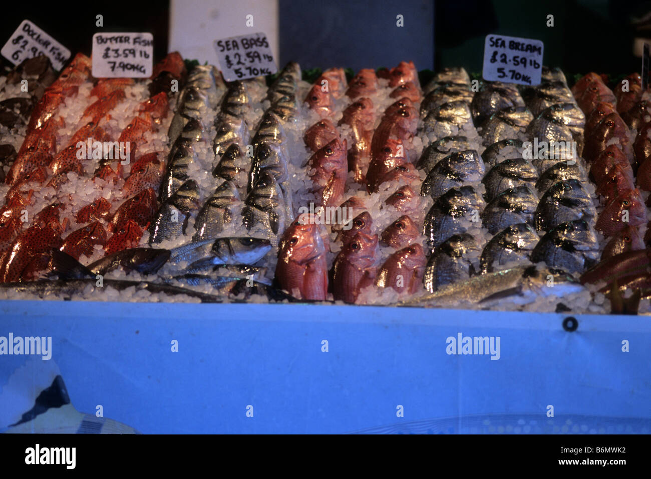 Arrangement of fish on market stall Stock Photo - Alamy