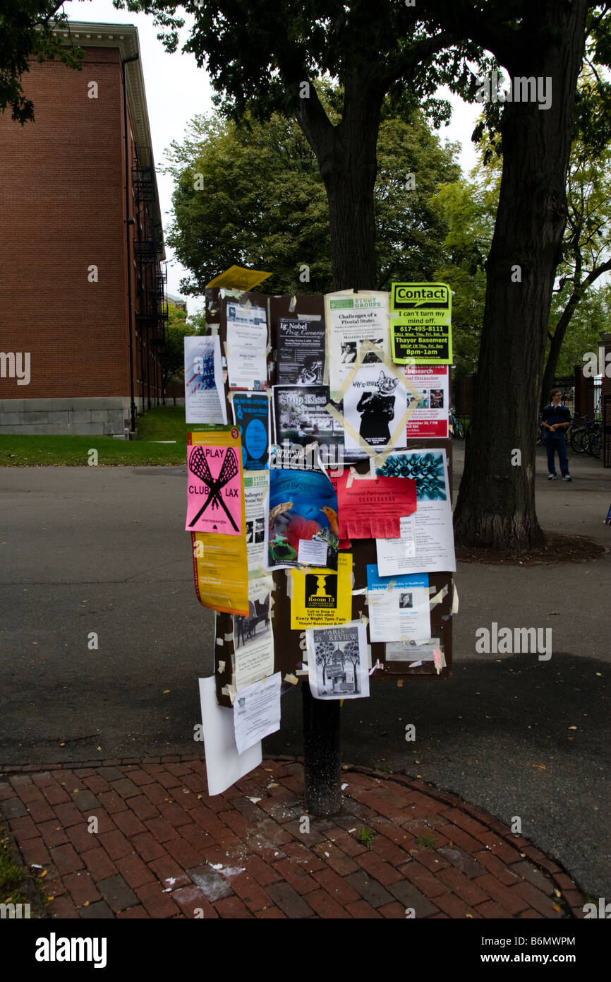 Harvard university campus sign hi-res stock photography and images - Alamy