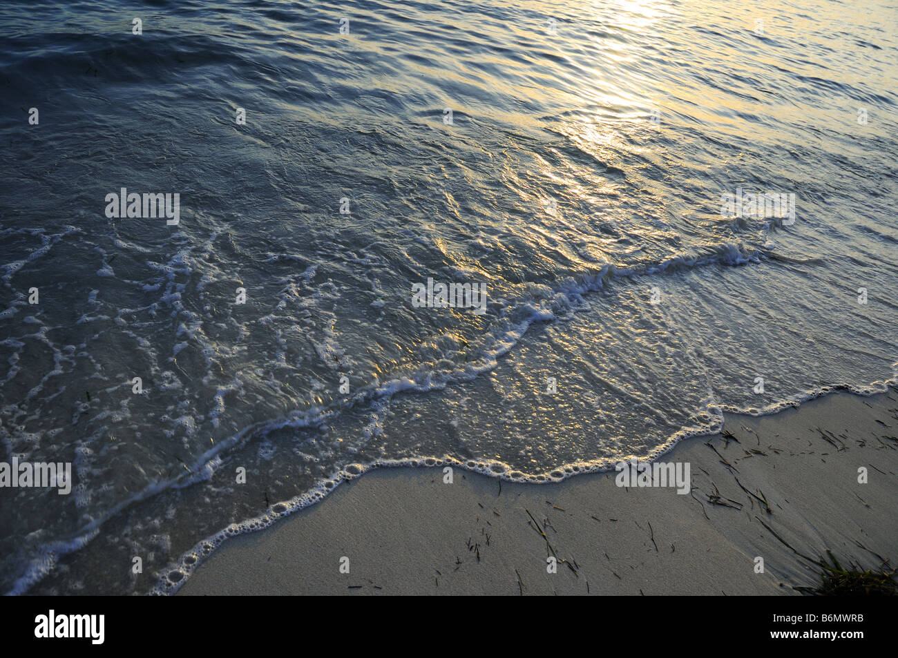 Detail of waves splashing over the sand of tropical cuban beach Stock ...
