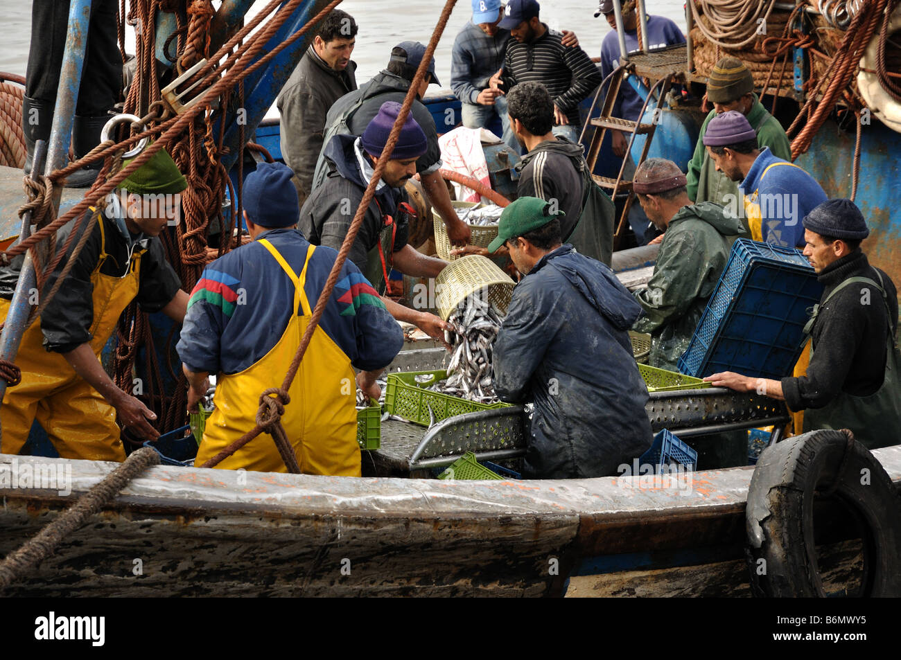 Unloading fish at port hi-res stock photography and images - Alamy