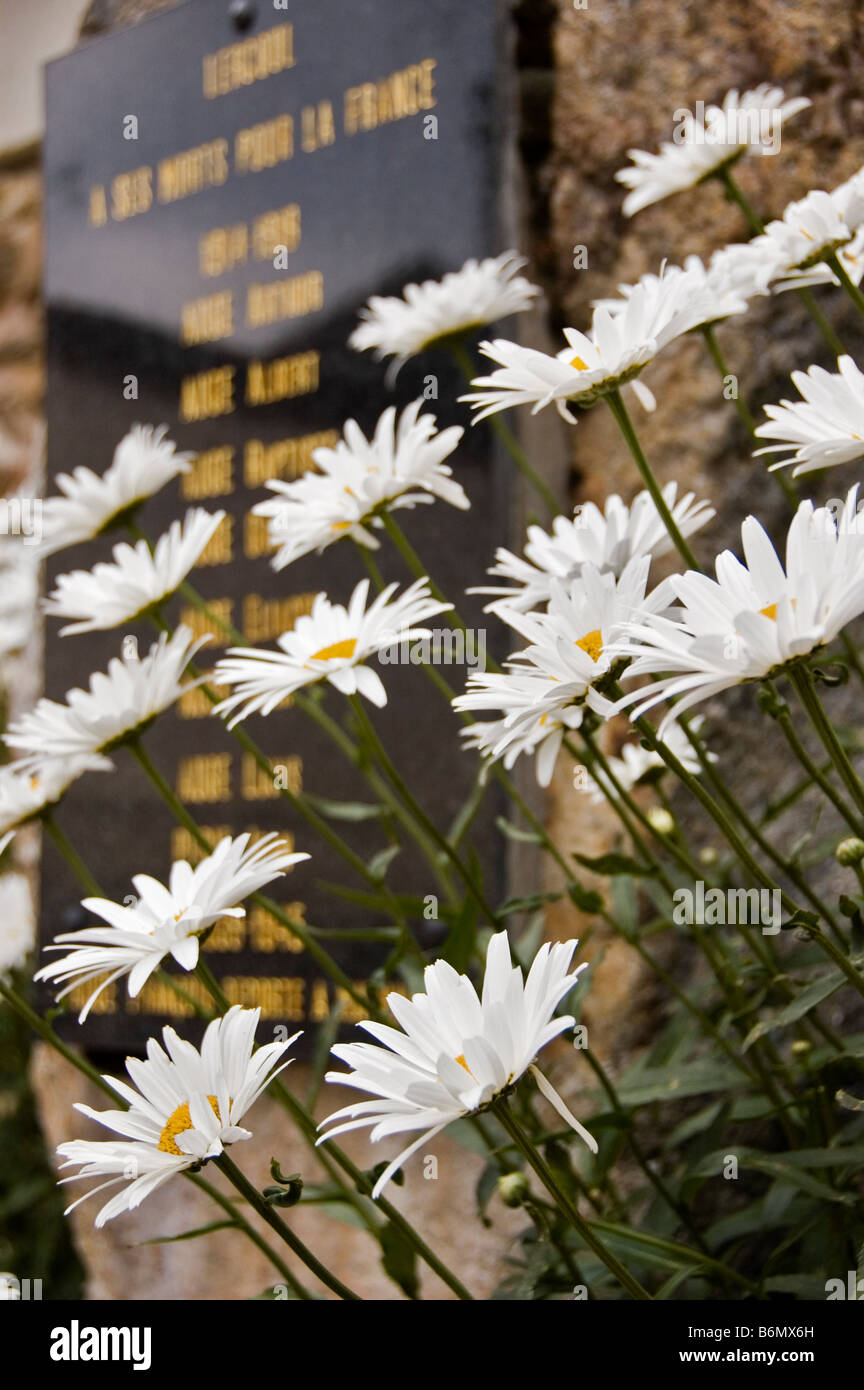 Respect the fallen hi-res stock photography and images - Alamy