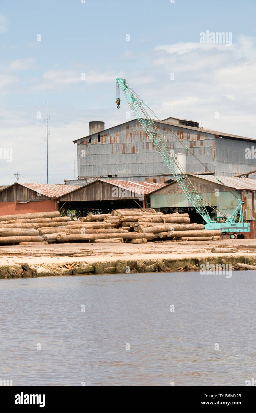 Logs at a ply wood factory in Borneo, Indonesia Stock Photo - Alamy